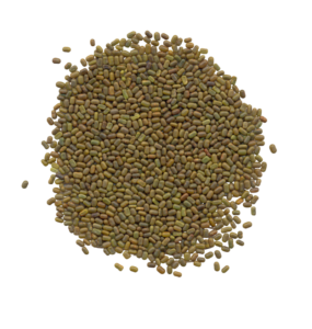 Sesbania Seed (Sesbania Grandiflora) – Harmain Globals